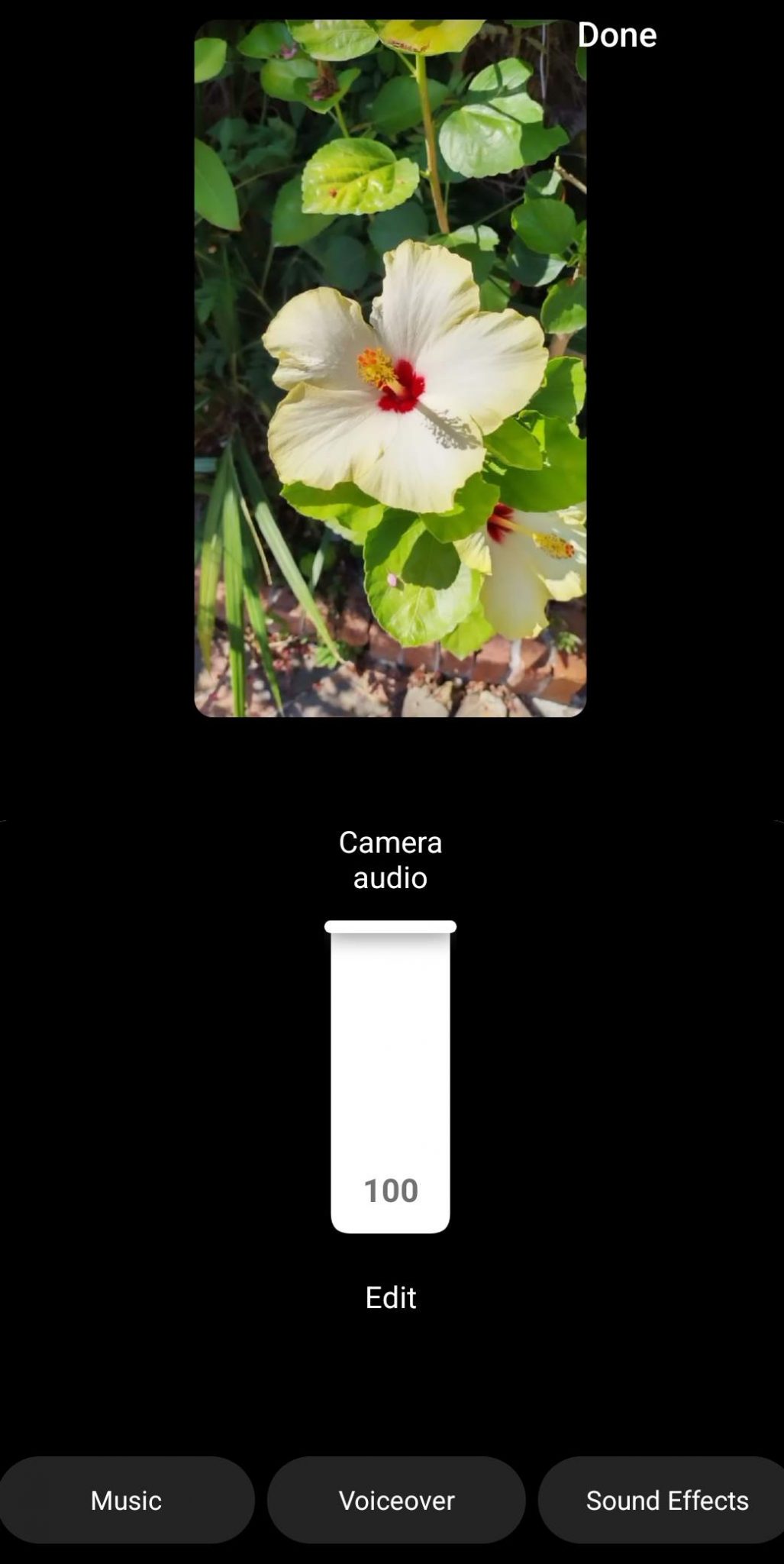How To Make A Reel On Instagram (Plus Tips For Making Amazing Reels ...